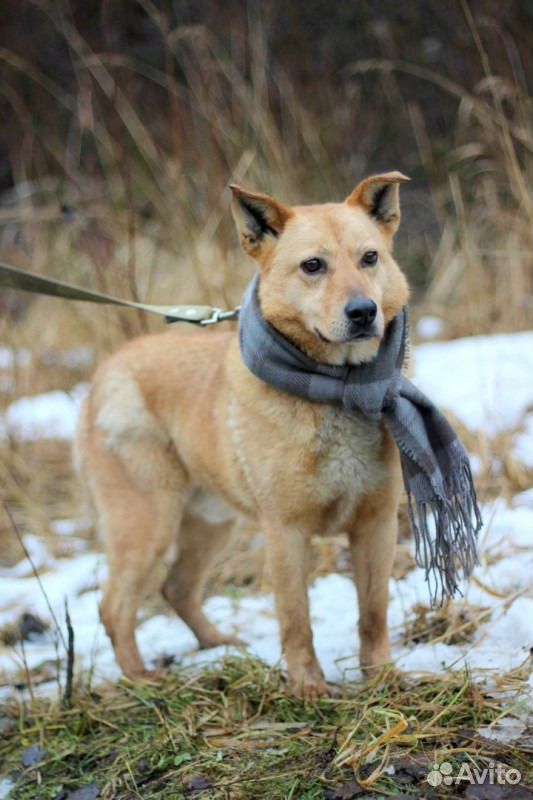 Маленький скромный джентльмен ждет свою семью