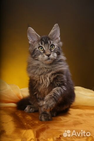 Девочка и мальчик черный мрамор