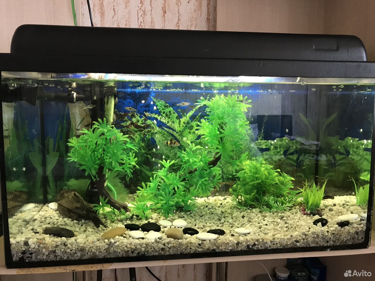 Аквариум с рыбками