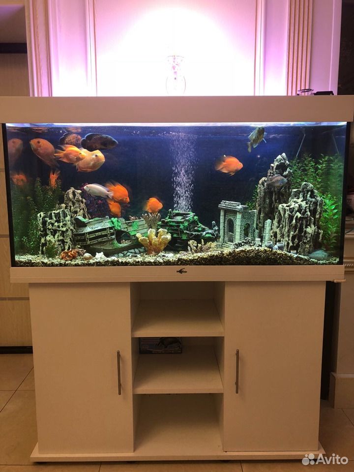 Аквариум
