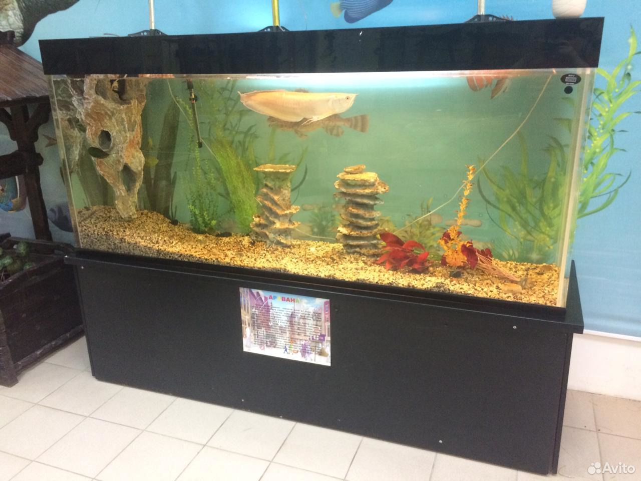 Акриловый аквариум