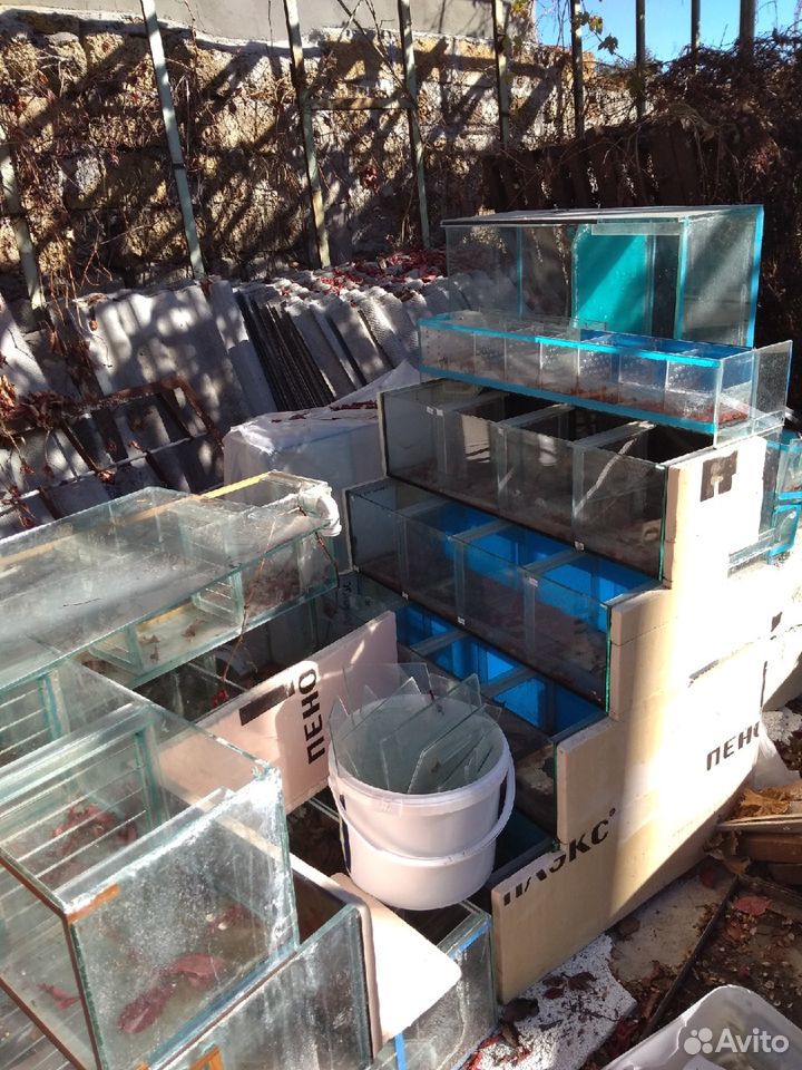 Аквариумы для продажи рыбок