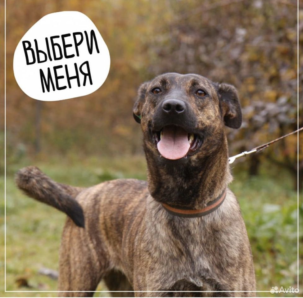 Добрейшая Клеопатра ищет лучшую семью