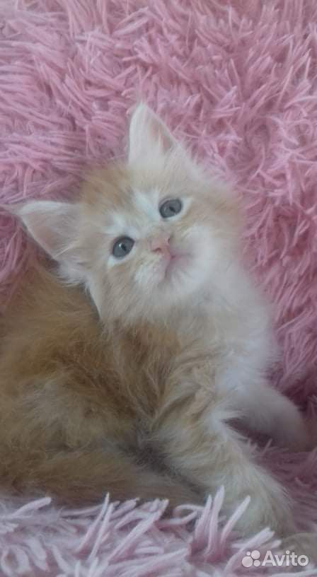 Красный мраморный мальчик