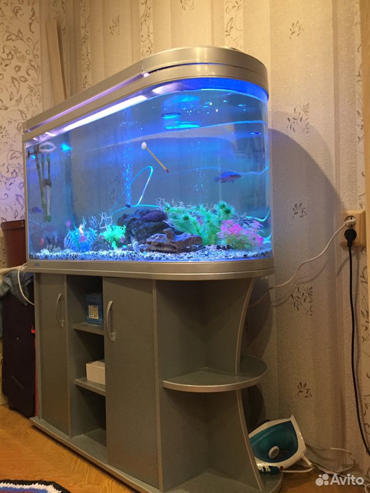 Шикарный аквариум