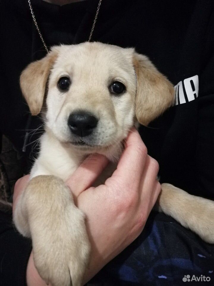 Маленькая очаровашка ищет себе семью