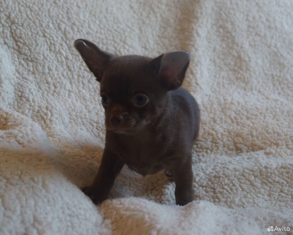 Мальчик Тоша