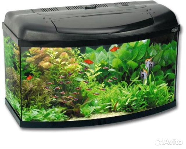Продаю аквариум