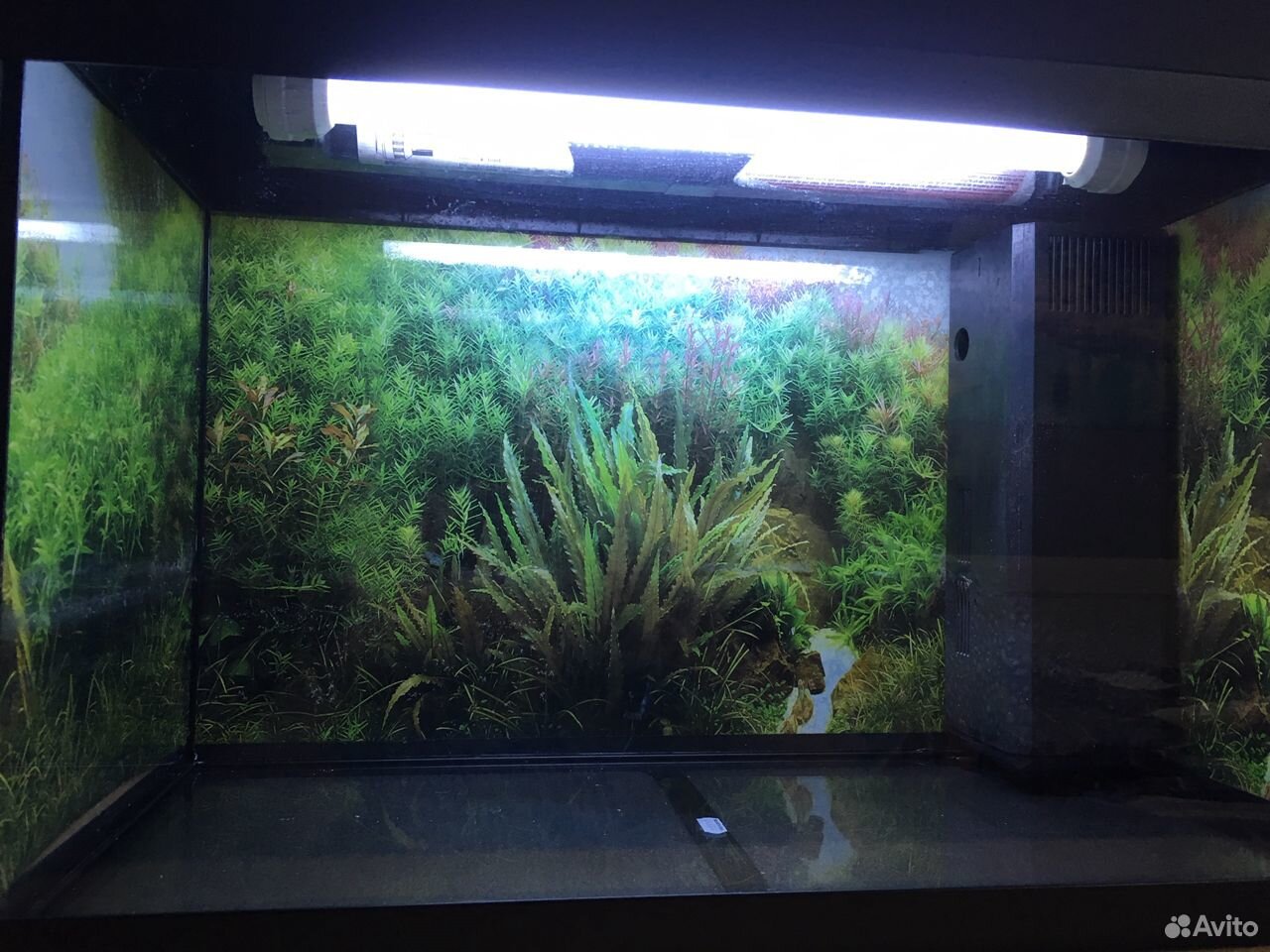 Аквариум juwel monolux 60