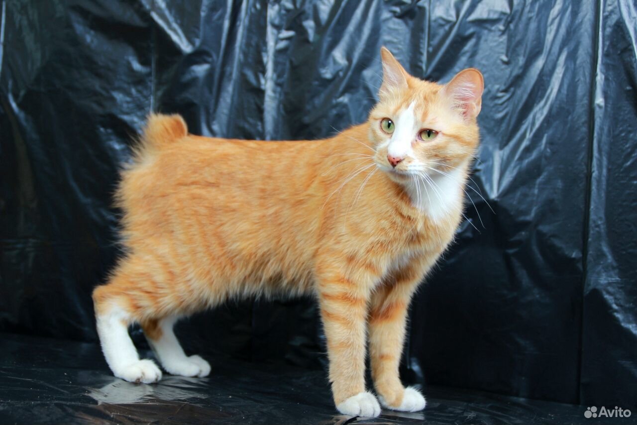 Доброе утро, друзья Надеемся, у кого-то оно начнёт