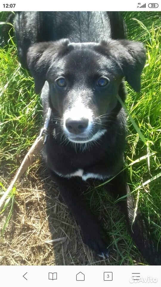 Черная девочка 5-6 месяцев