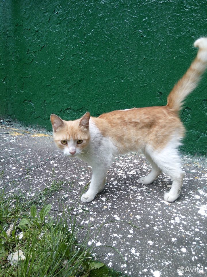 Нежный Юрчик, 11 месяцев