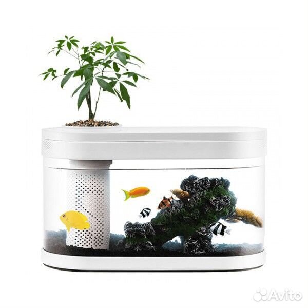 Аквариум Xiaomi Lucky Amphibious