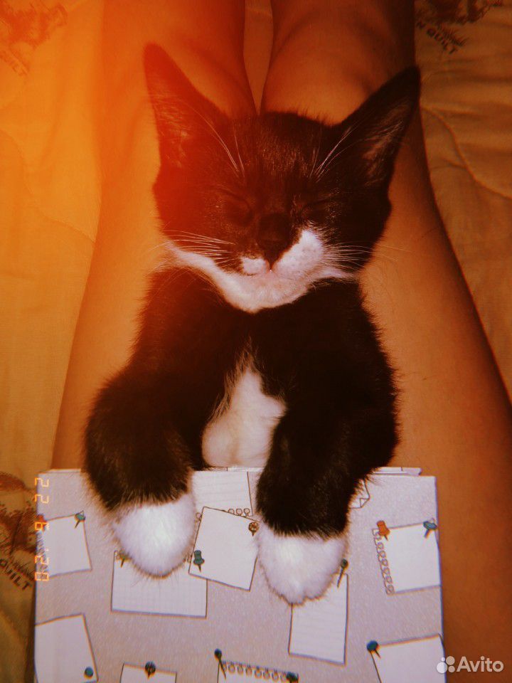 Маленькая радость