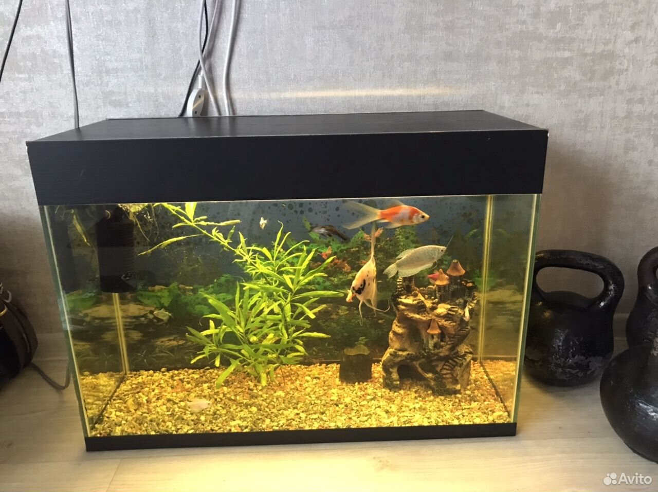 Аквариум 96 л