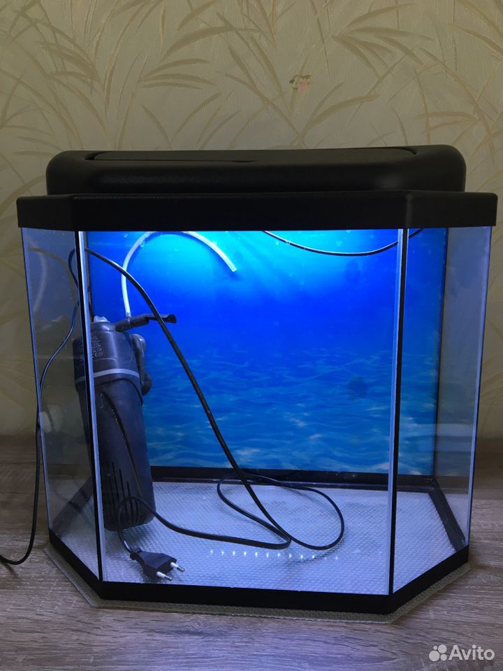 Аквариум в сборе