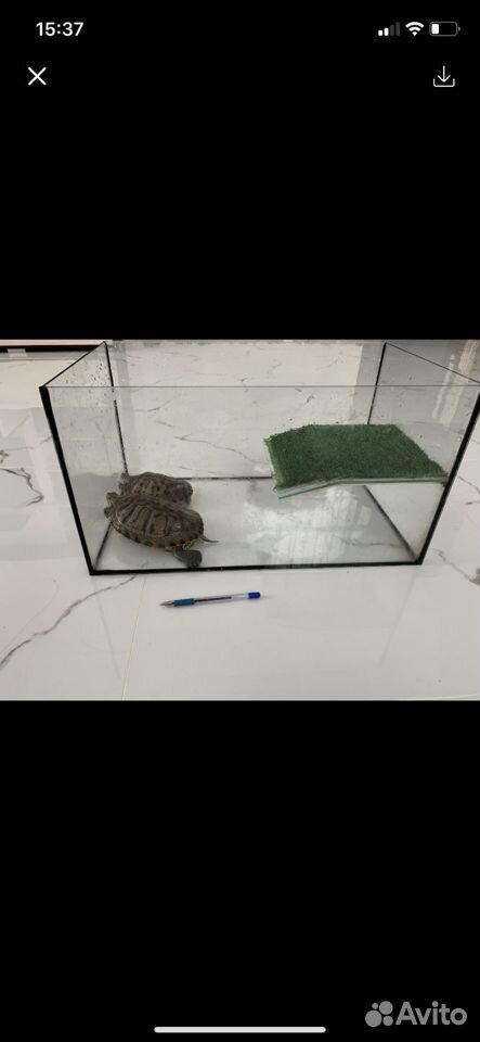 Черепахи + аквариум