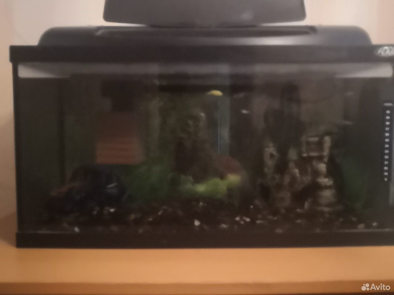 Аквариум 60 литров