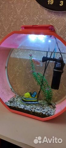 Аквариум с рыбками