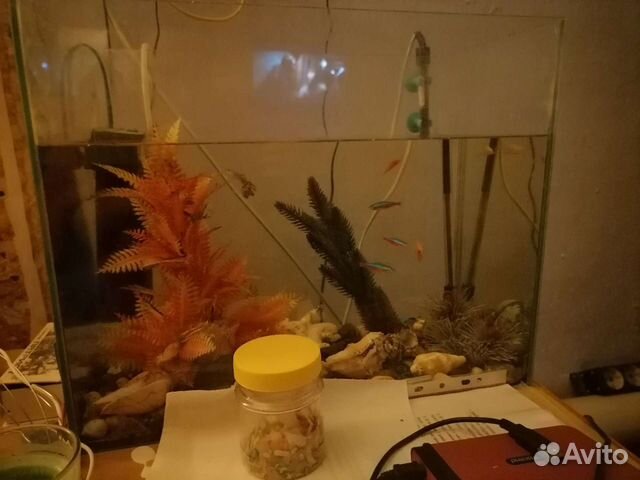 Аквариум