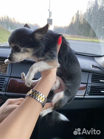 Вязка кабель