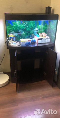 Аквариум bio design