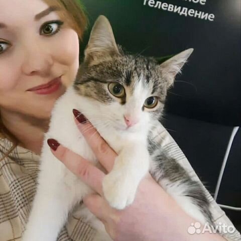 Котик Мистер-розовый-носик в добрые руки