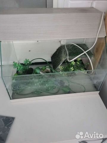 Аквариум с подсветкой, подогрев воды, фильтр для ч