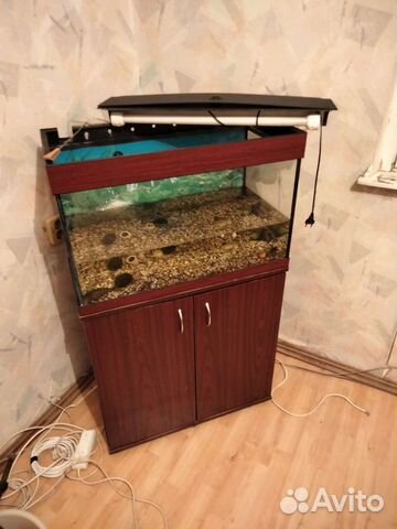 Аквариум