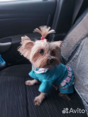 Ищем жениха