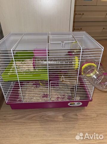 Сирийский хомяк с клеткой