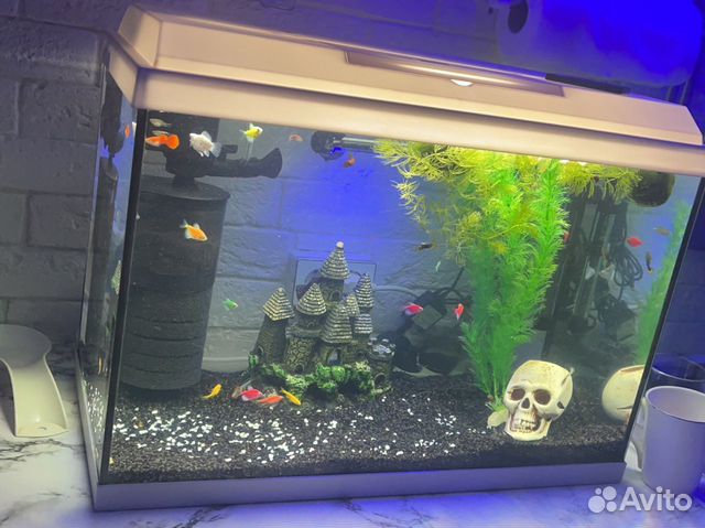 Акариумина 70 литров