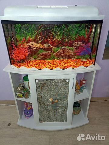 Аквариум 80л, крышка, тумба, рыбы, выносной фильтр