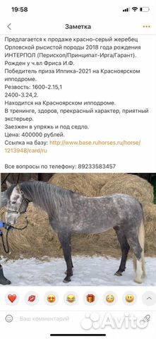 Продам лошадь