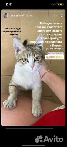Нужно спасать малыша, подкинули в подьезд
