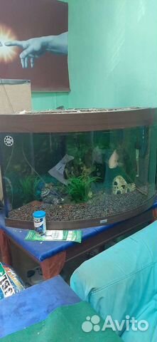 Аквариум