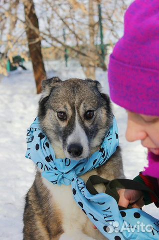 Спасите Зину из приюта