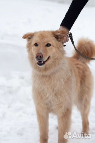 Прекрасная Юки ждёт человека