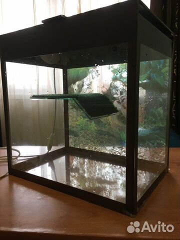 Аквариум для черепах