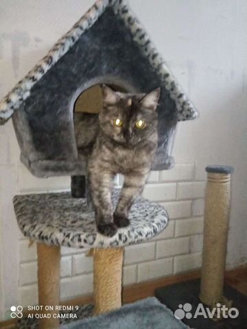 Ну очень красивая британочка