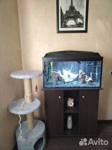 Аквариум с тумбой 100 литров