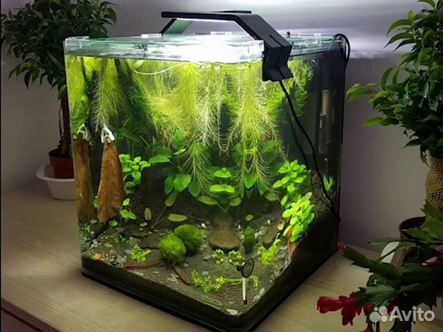 Dennerle Nano Cube Нано-аквариум 30 л