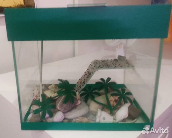 Террариум с мостиком и светом