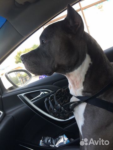 Вязка Стафф