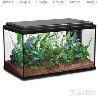 Аквариум Aquatlantis «Atlantis 60»