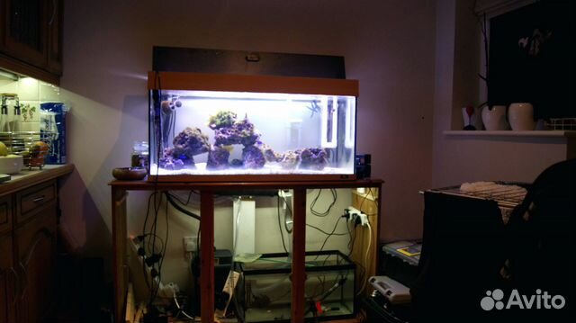 Светодиодная лента в силиконе для аквариумов