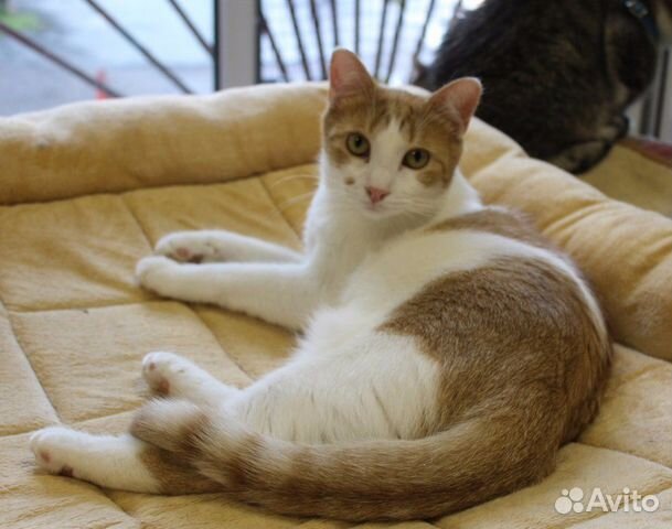 Жюльен 2 года