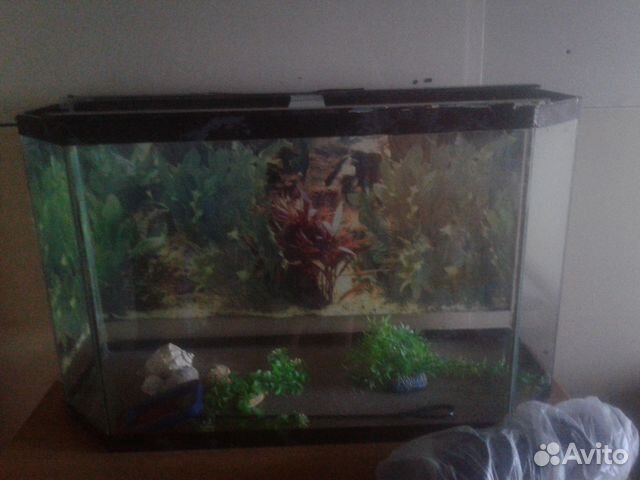 Аквариум
