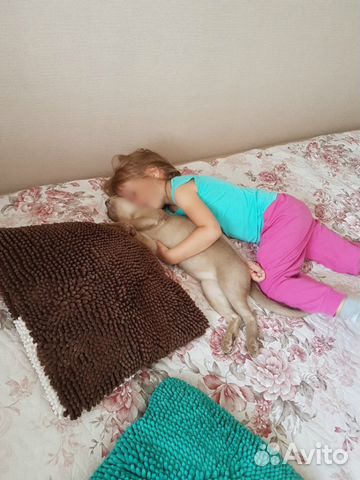 Бурмята для семей с детьми