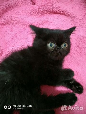 Экзотическая